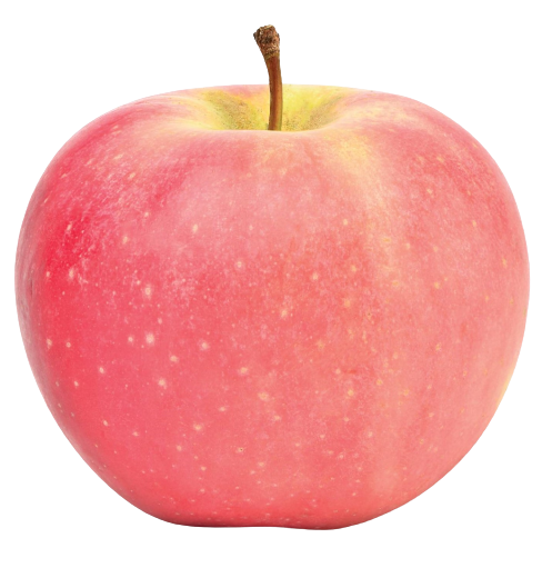 تعرف على التفاح